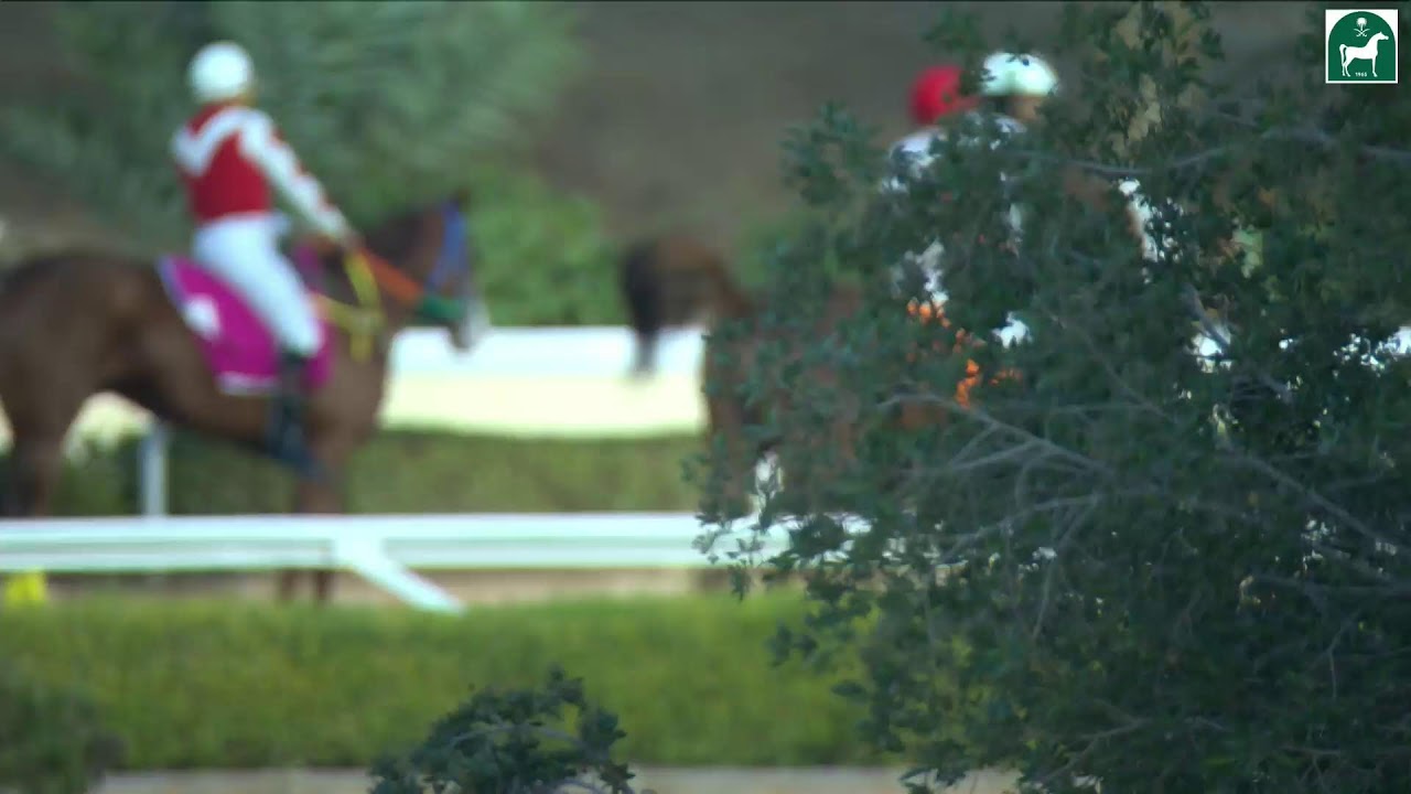 JCSA:RIYADH RACING SEASON FRIDAY FEBRUARY 02 2024 MEETING 98 - Total ...