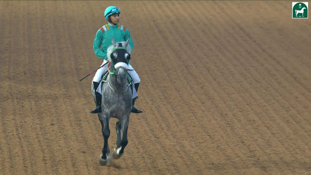 JCSA:RIYADH RACING SEASON FRIDAY NOVEMBER 17 2023 MEETING 65 - Total ...