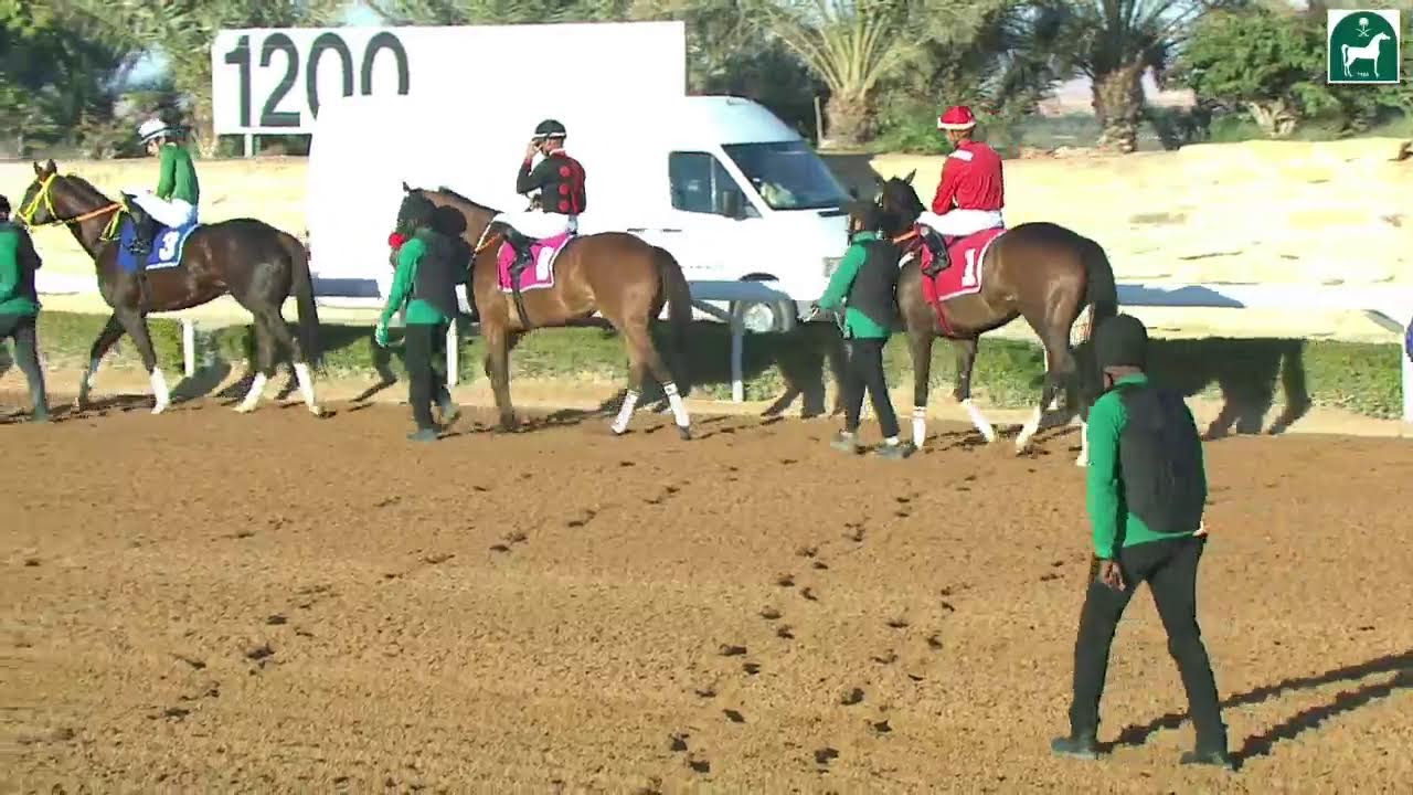 JCSA:RIYADH RACING SEASON FRIDAY JANUARY 31 2025 MEETING 86 - Total ...