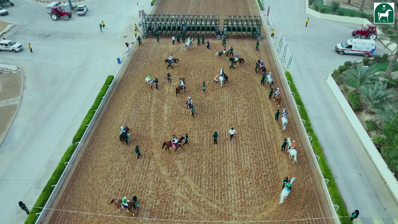 JCSA:RIYADH RACING SEASON FRIDAY NOVEMBER 24 2023 MEETING 68 - Total ...
