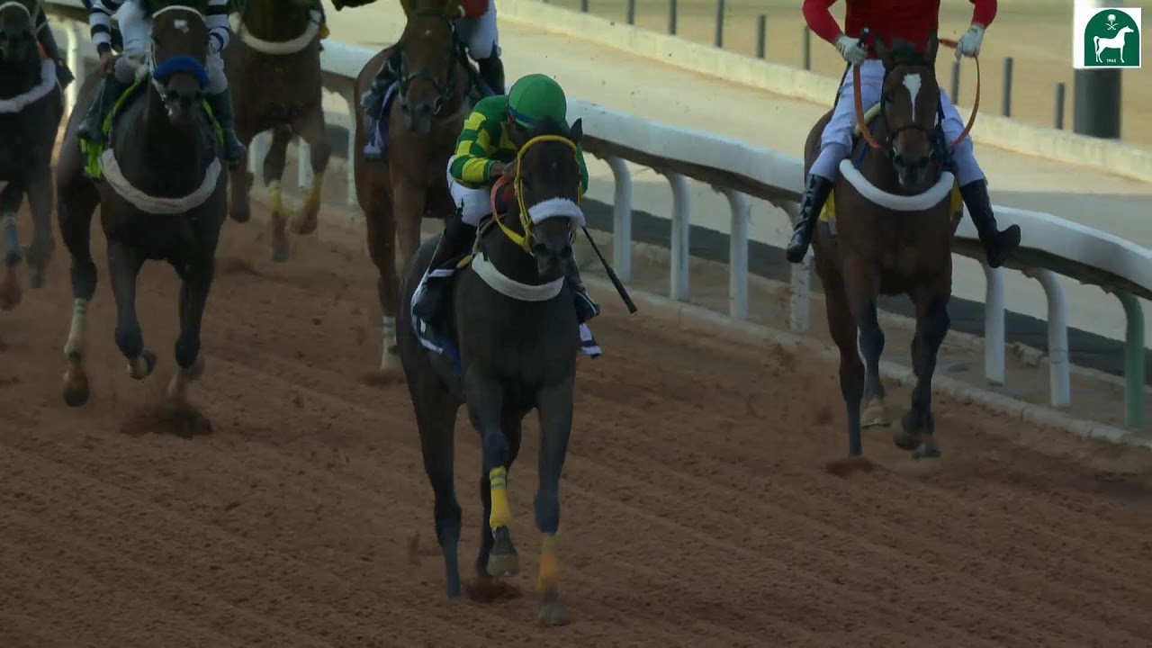JCSA:RIYADH RACING SEASON FRIDAY OCTOBER 27 2023 MEETING 56 - Total ...