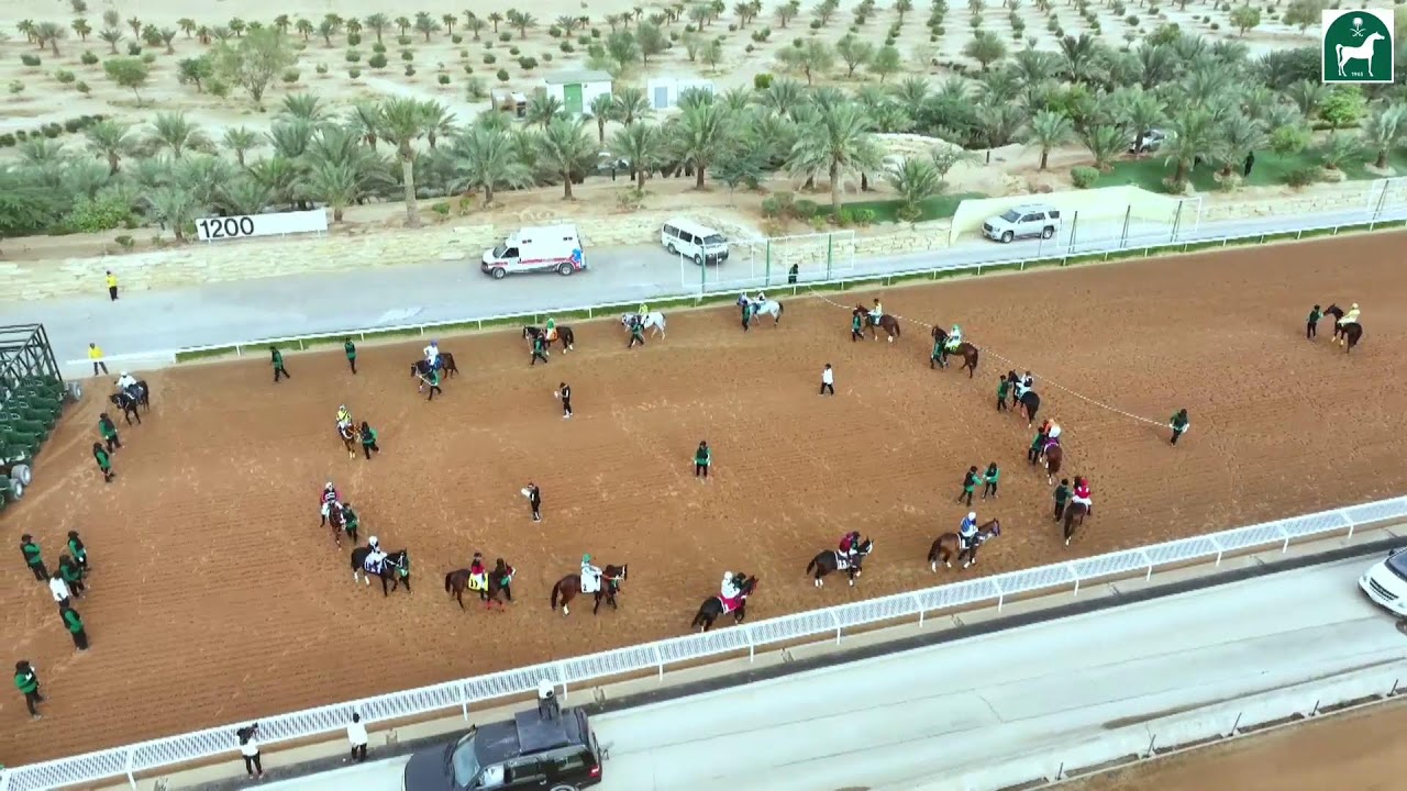 JCSA:RIYADH RACING SEASON SATURDAY NOVEMBER 11 2023 MEETING 63 - Total ...