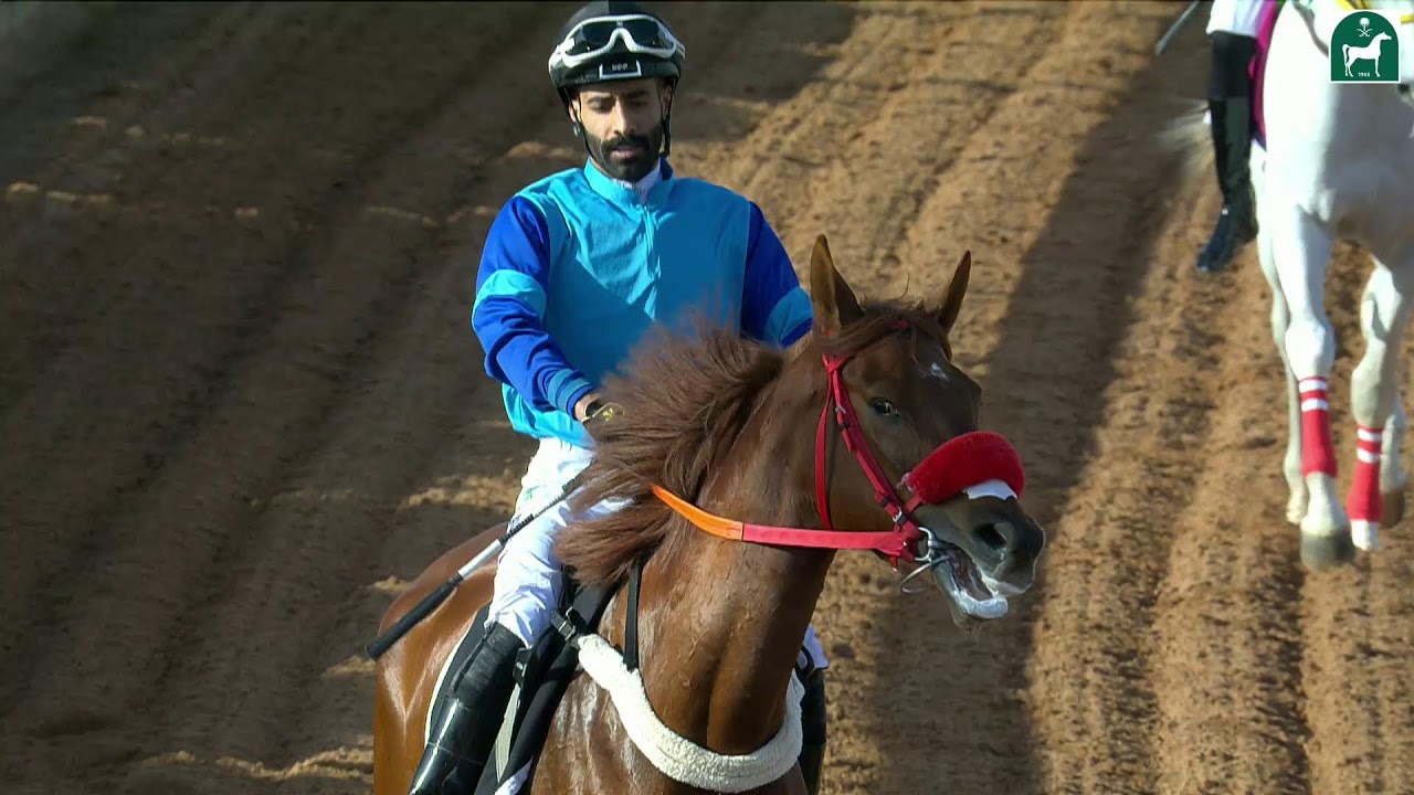 JCSA:RIYADH RACING SEASON SATURDAY JANUARY 27 2024 MEETING 96 - Total ...