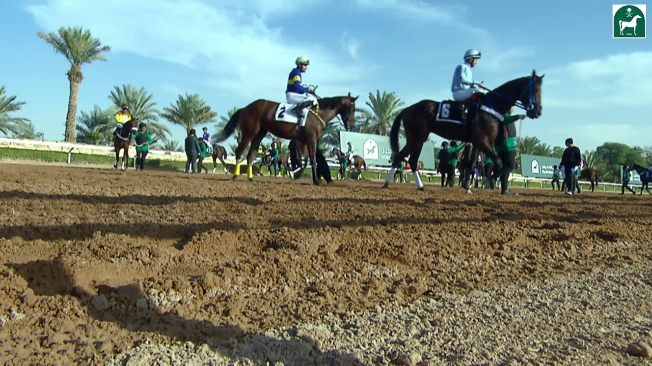 JCSA:RIYADH RACING SEASON THURSDAY DECEMBER 21 2023 MEETING 79 - Total ...