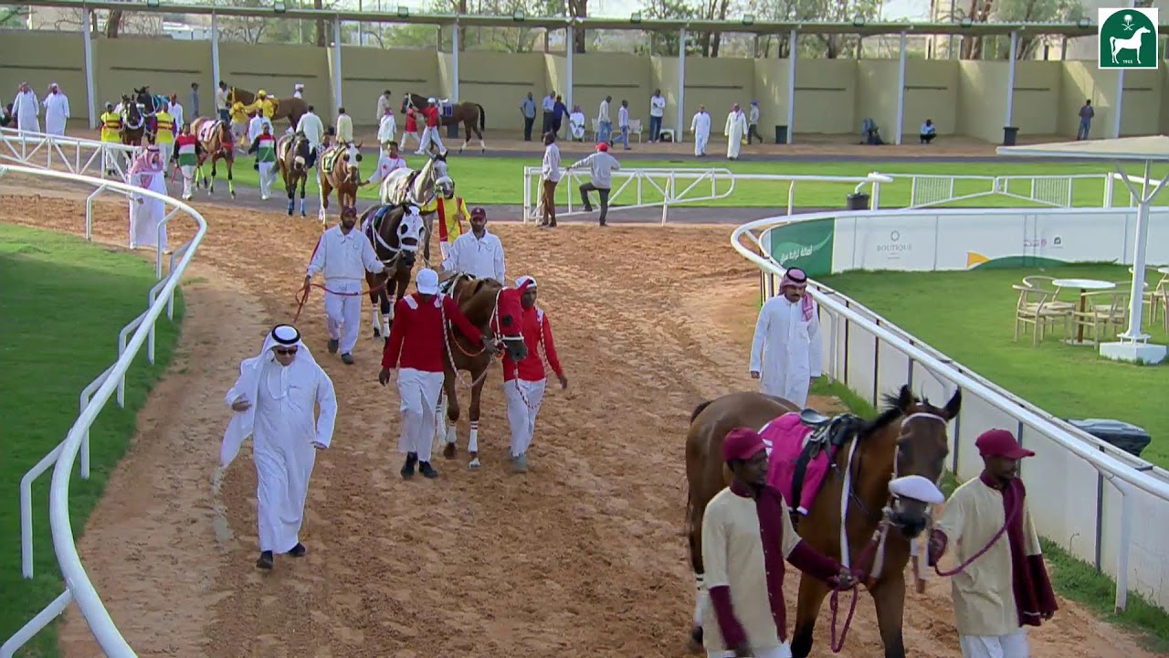 JCSA:TAIF RACING SEASON FRIDAY SEPTEMBER 29 2023 MEETING 50 - Total ...