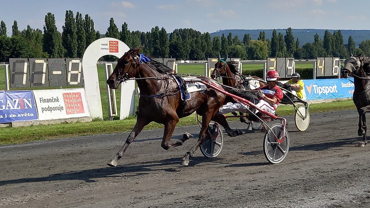 klusáci – Chuchle Arena Praha - Total Horse Channel | Equestrian TV