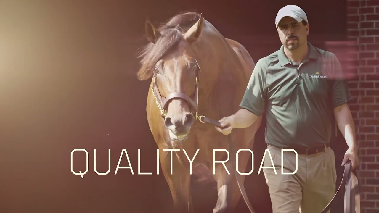 Lane’s End | Quality Road - Total Horse Channel | Equestrian TV