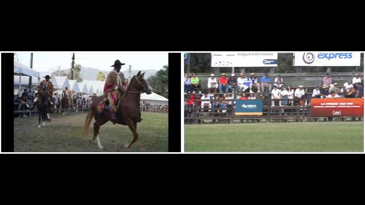 Las Finales Argentina 2025 - Total Horse Channel | Equestrian TV