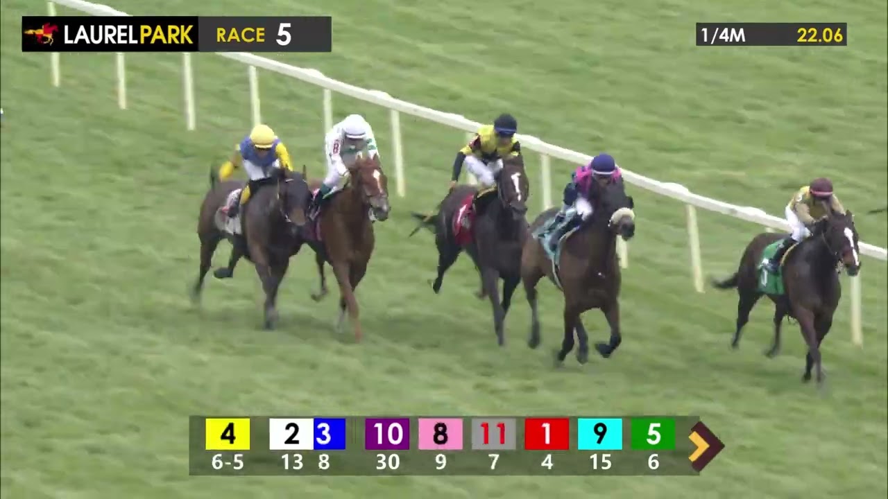 Laurel Park – April 19th, 2025 - Total Horse Channel | Equestrian TV