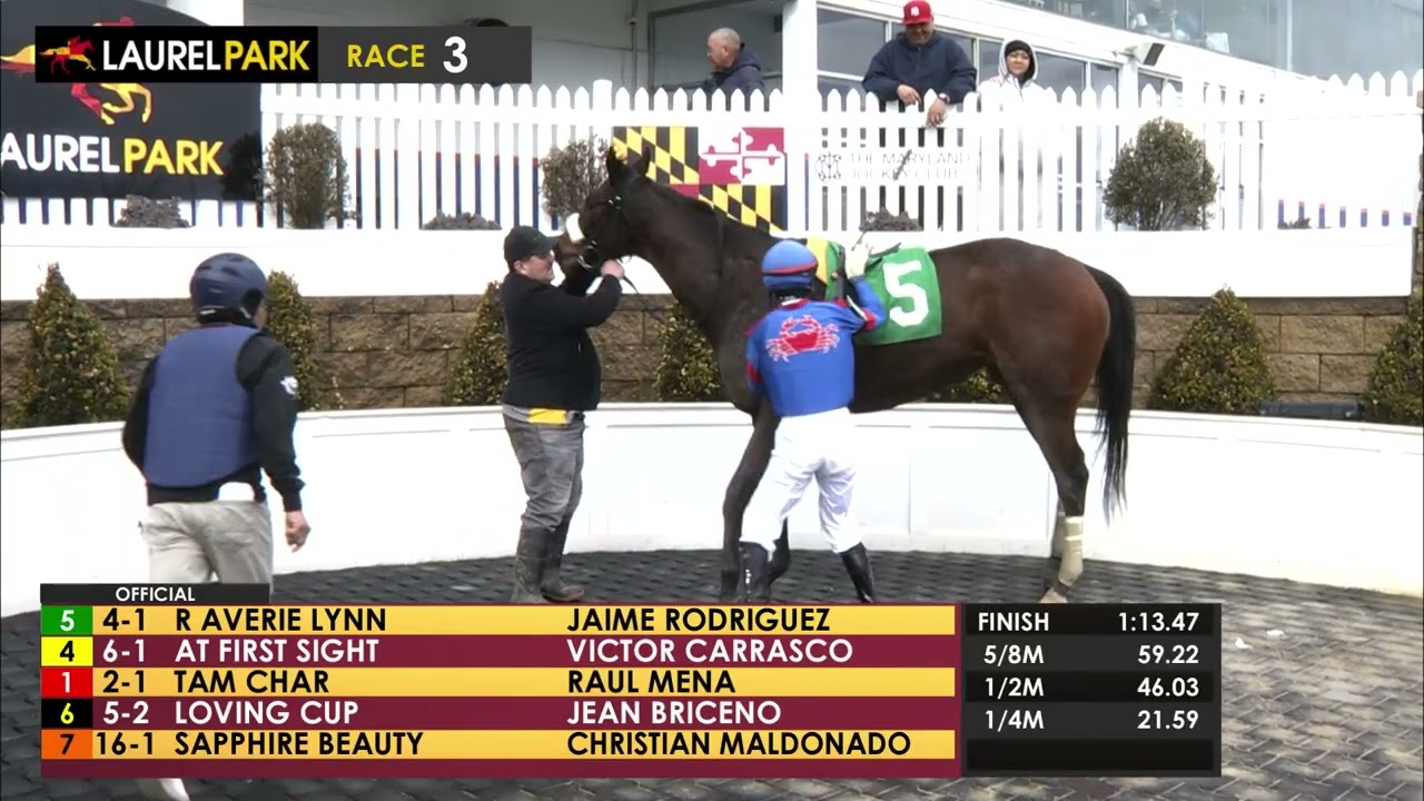 Laurel Park | February 16th, 2025 - Total Horse Channel | Equestrian TV