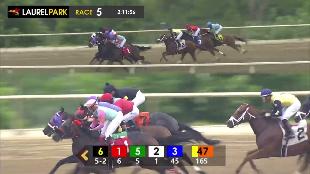 Laurel Park Replay Show – June 27th, 2025 - Total Horse Channel | Equestrian TV