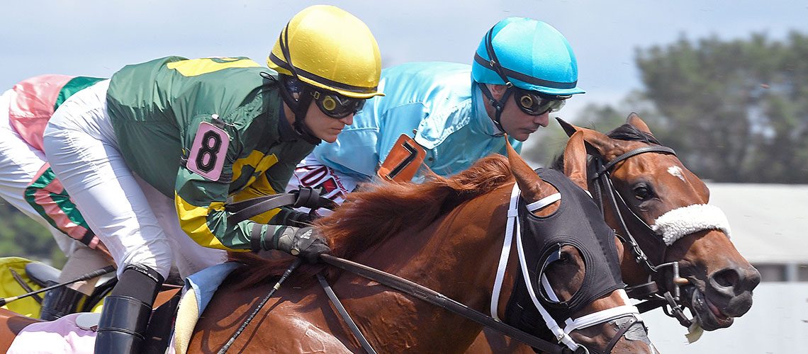 Maryland Racing | LIVE – Total Horse Channel | Equestrian TV