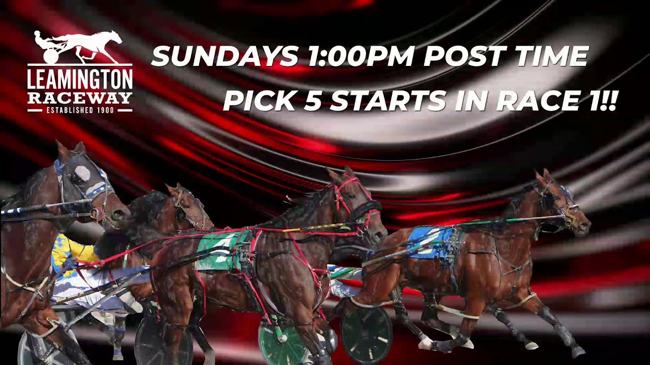 Leamington Raceway | August 13th, 2023 - Total Horse Channel ...