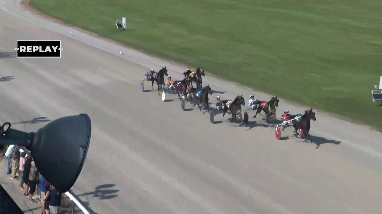 Leamington Raceway | August 20th, 2023 - Total Horse Channel ...