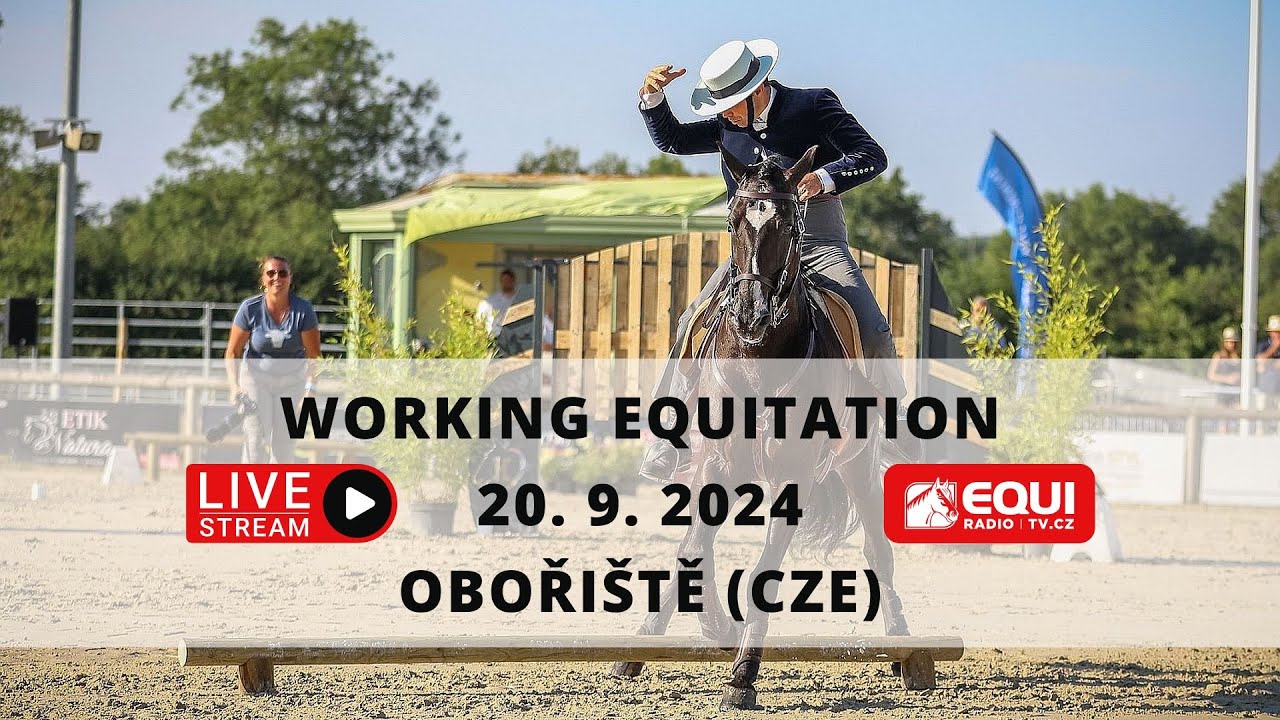 LIVE 🔴 | 2nd day WAWE European Championship Working Equitation ...
