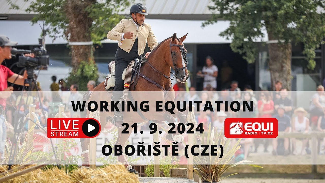 LIVE 🔴 | 3rd day WAWE European Championship Working Equitation ...
