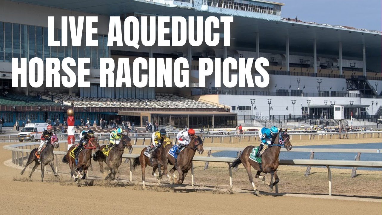 Live Aqueduct Horse Racing Picks | May 26th, 2024 - Total Horse Channel ...