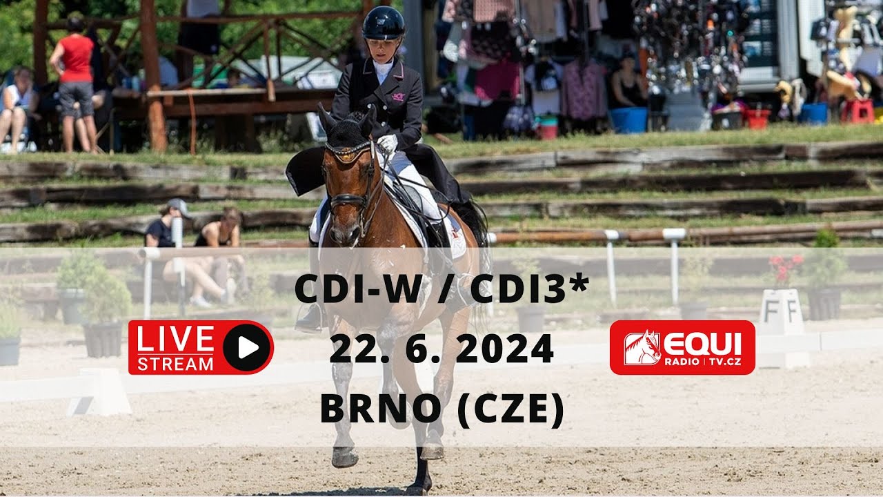 LIVE 🔴 | dressage CDI-W Brno (CZE) – 22. 6. 2024 - Total Horse Channel ...