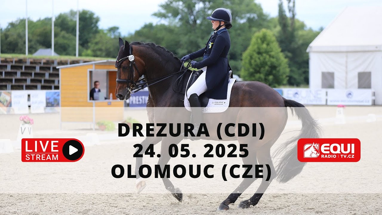 LIVE 🔴 | drezura CDI-W Olomouc (CZE) – 24. 5. 2025 – Total Horse ...