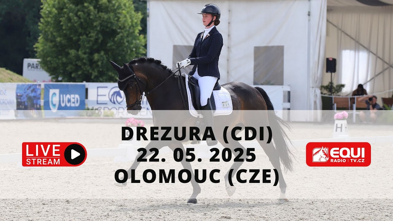 LIVE 🔴 | drezura CDI-W Olomouc (CZE) – 22. 5. 2025 - Total Horse ...
