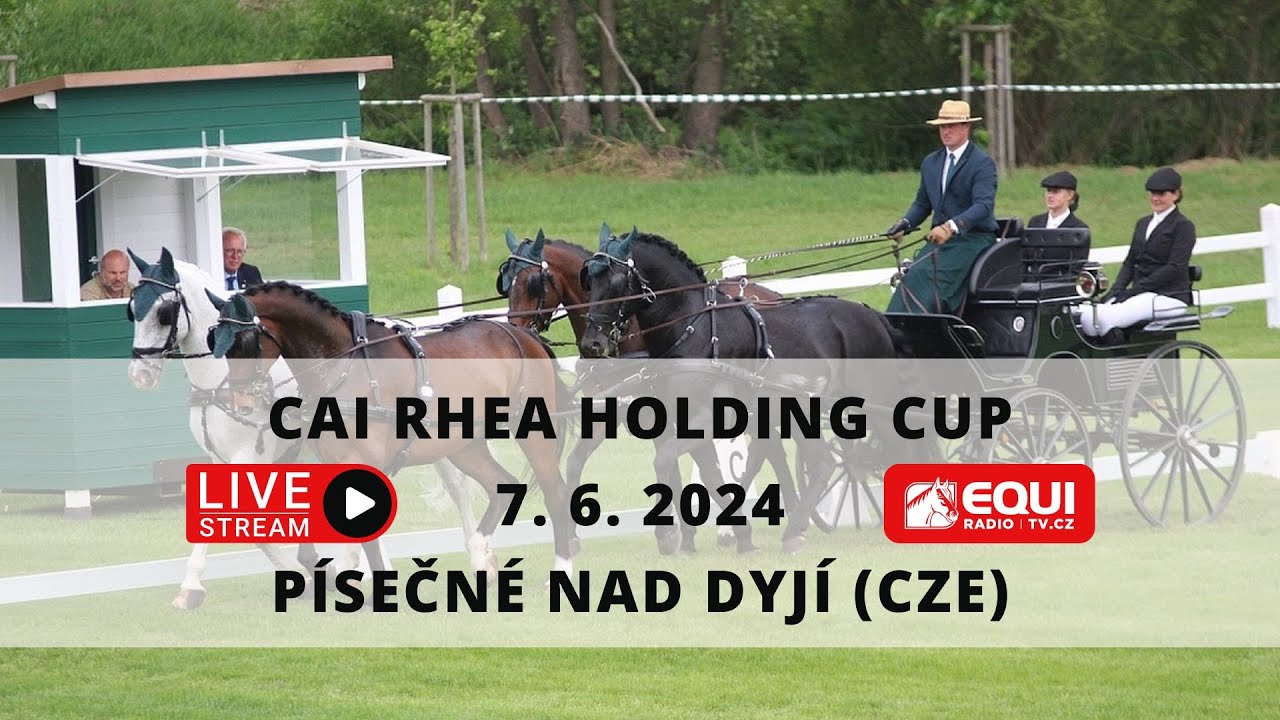 LIVE 🔴 | driving – dressage CAI Písečné nad Dyjí (CZE) – Rhea Holding ...