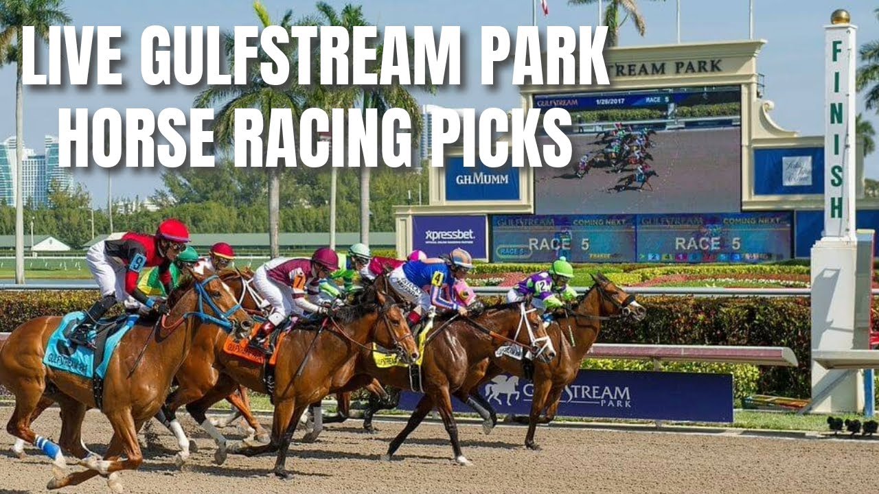 Live Gulfstream Park Horse Racing Picks | March 28th, 2025 - Total ...