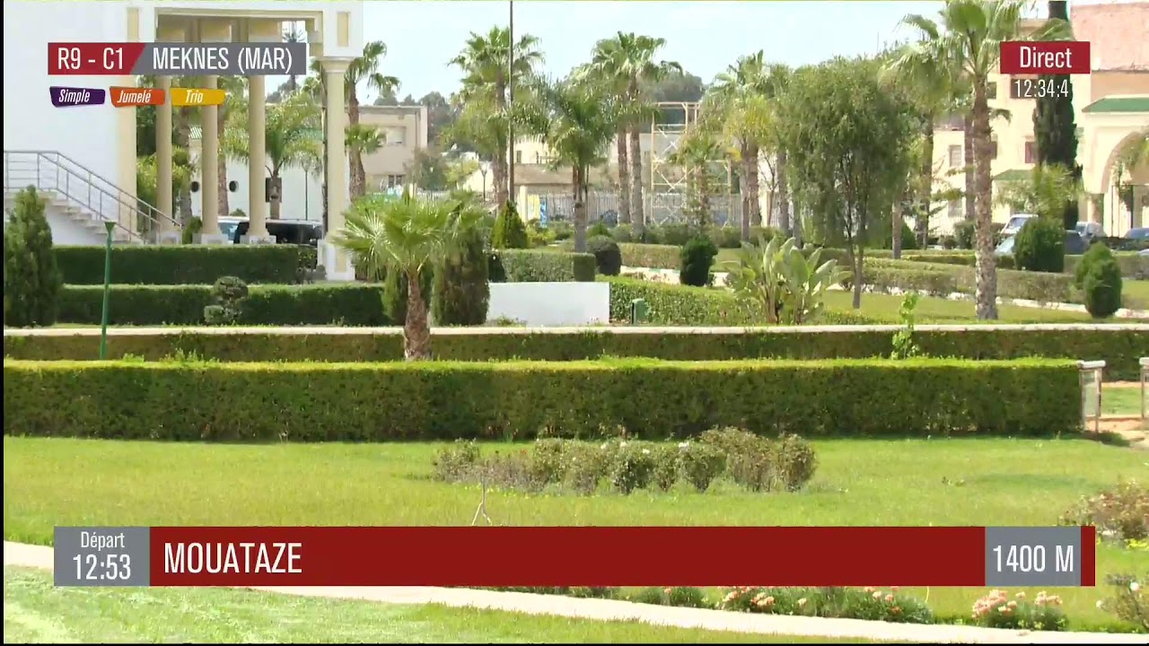 Live Hippodrome « MEKNES » | Courses du « 03/04/2025 » - Total Horse Channel | Equestrian TV