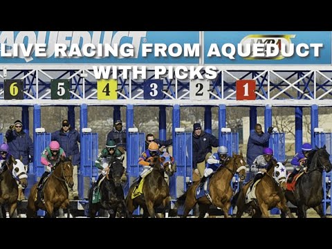 Live Horse Racing From Aqueduct With Selections - Total Horse Channel ...