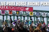 Parx Racing - Total Horse Channel | Equestrian TV