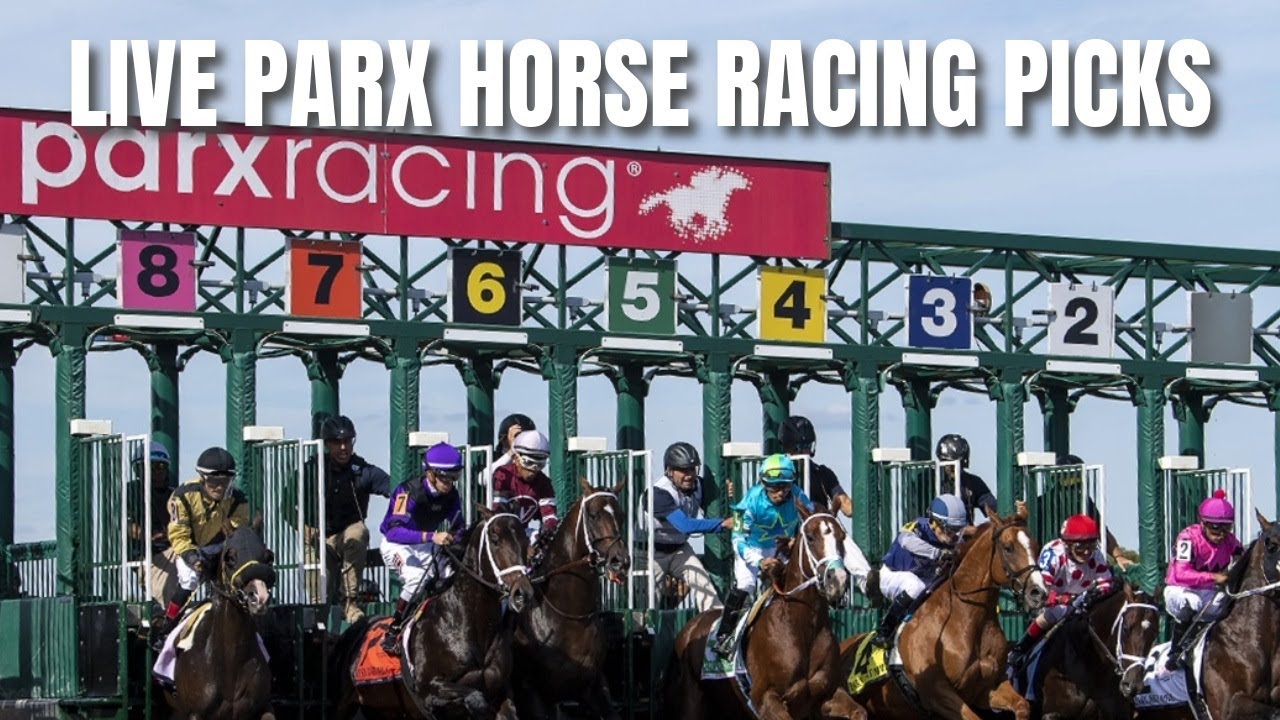 Live Parx Horse Racing Picks | April 2nd, 2025 - Total Horse Channel ...