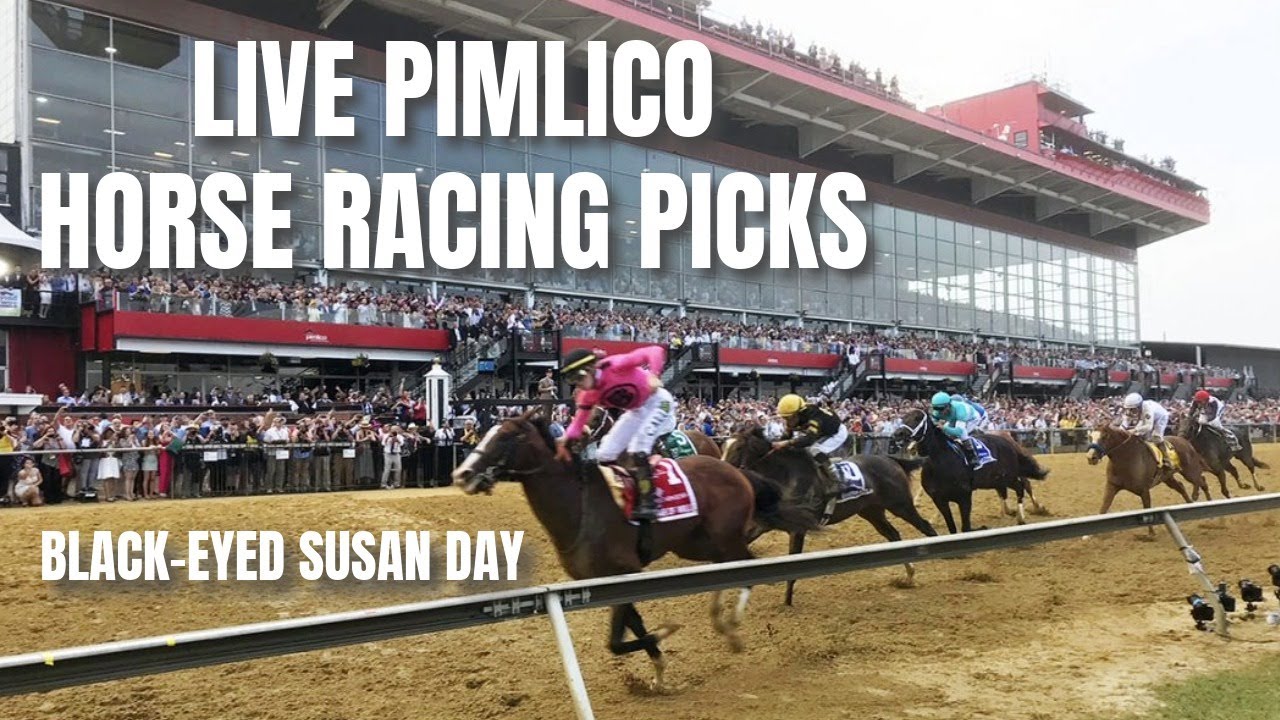 Live Pimlico Horse Racing Picks – Black-Eyed Susan Day - Total Horse ...