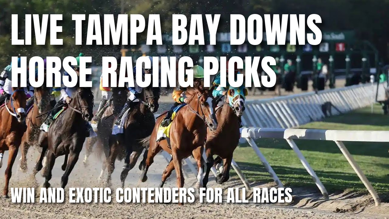 Live Tampa Bay Downs Horse Racing Picks | March 30th, 2025 – Total ...