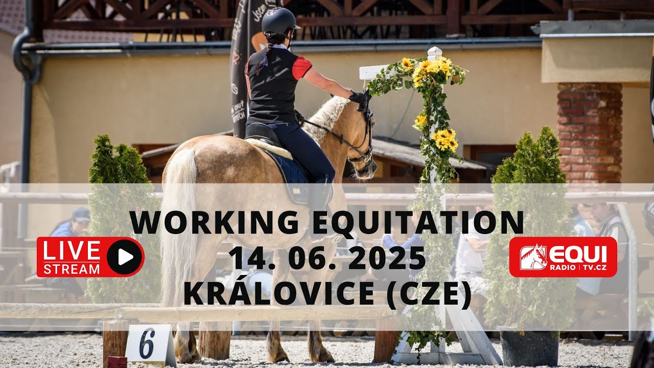 LIVE 🔴 | Working Equitation Czech Summer Open Královice (CZE) – 14. 6 ...