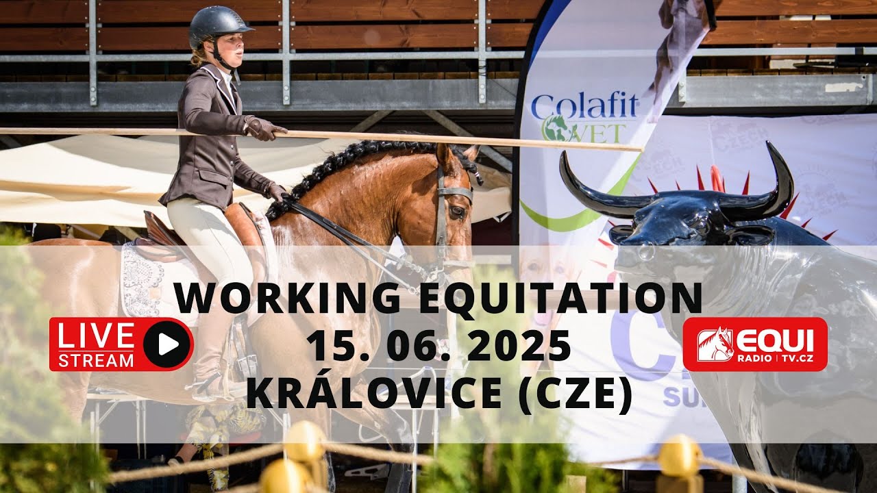 LIVE 🔴 | Working Equitation Czech Summer Open Královice (CZE) – 15. 6 ...