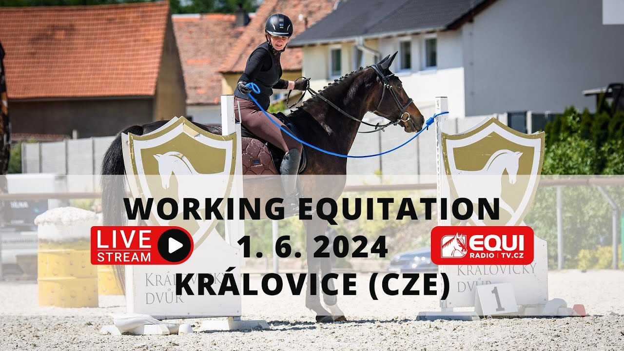 LIVE 🔴 | Working Equitation Královice (CZE) – 1. 6. 2024 - Total Horse ...