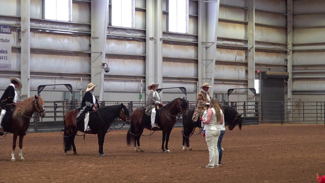 LONE STAR SPRING SPECTACULAR- Triple show - Total Horse Channel ...
