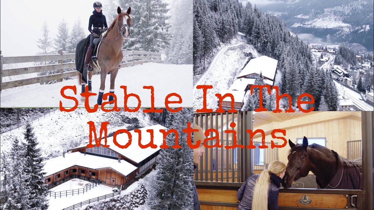 LUXURY STABLE TOURS – STABLE IN THE MOUNTAINS - Total Horse Channel ...