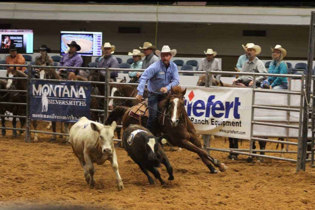 USTPA Let it Ride Penning & Sorting | LIVE - Total Horse Channel ...