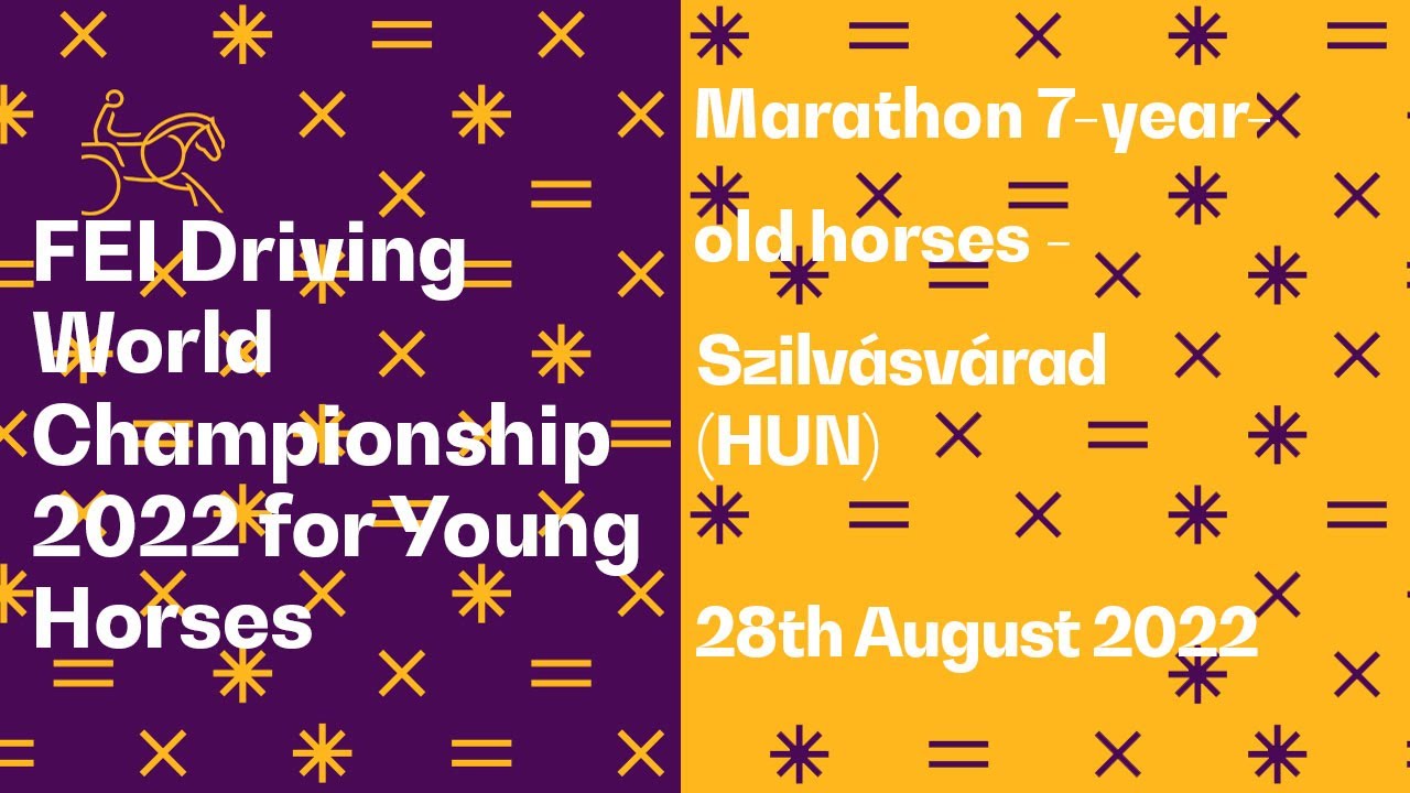 Marathon 7 year-old horses | FEI Driving World Championship 2022 for ...