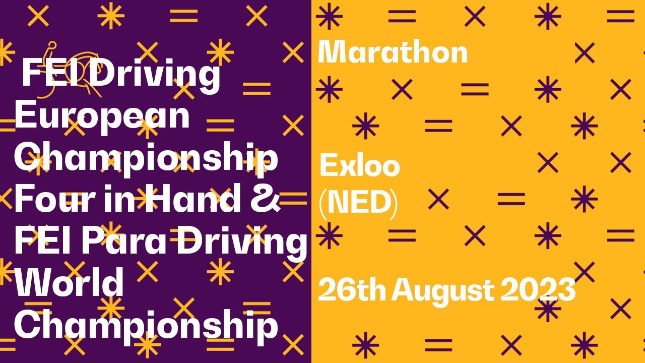 Marathon I FEI Driving European Championship Four in Hand & FEI Para ...