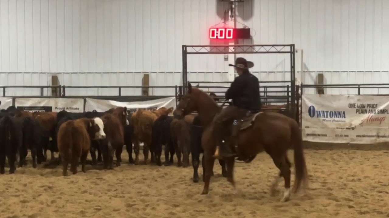 March Madness Cutting LAE – Saturday - Total Horse Channel | Equestrian TV