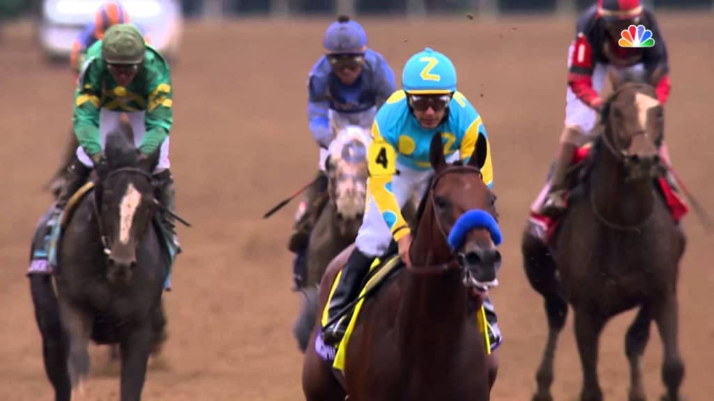 Breeders’ Cup Classic - Total Horse Channel | Equestrian TV
