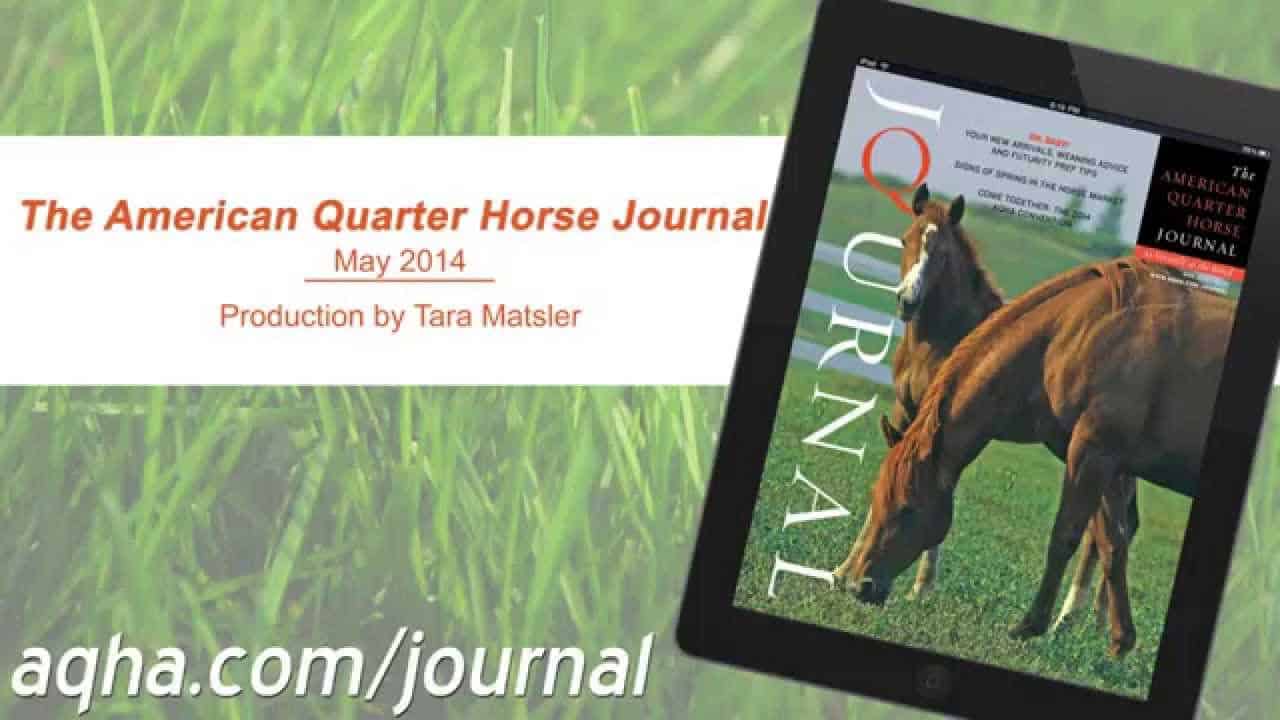 May 2014 American Quarter Horse Journal - Total Horse Channel ...