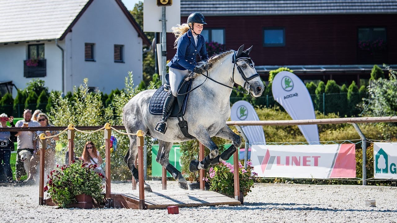 MČR working equitation Královice - Total Horse Channel | Equestrian TV