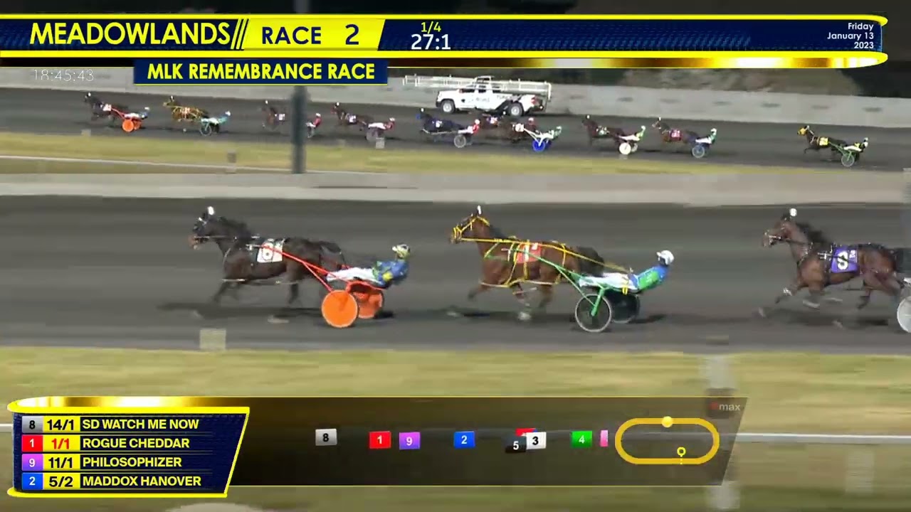 Meadowlands | Martin Luther King Remembrance Race - Total Horse Channel ...
