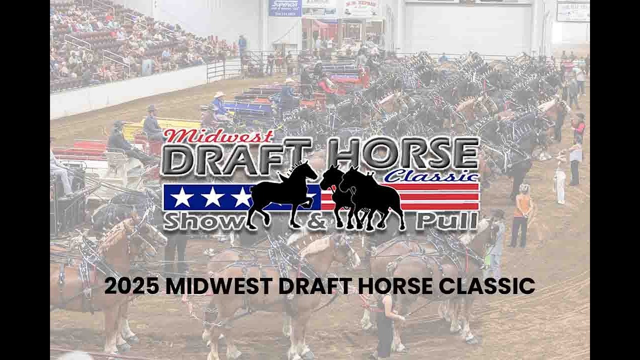 Midwest Draft Horse Classic - Total Horse Channel | Equestrian TV