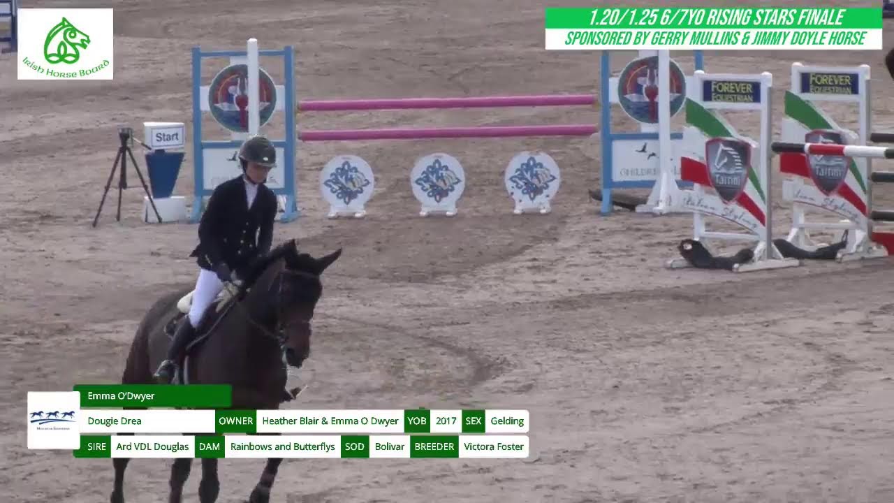 Mullingar Summer Horse Championships - Total Horse Channel | Equestrian TV