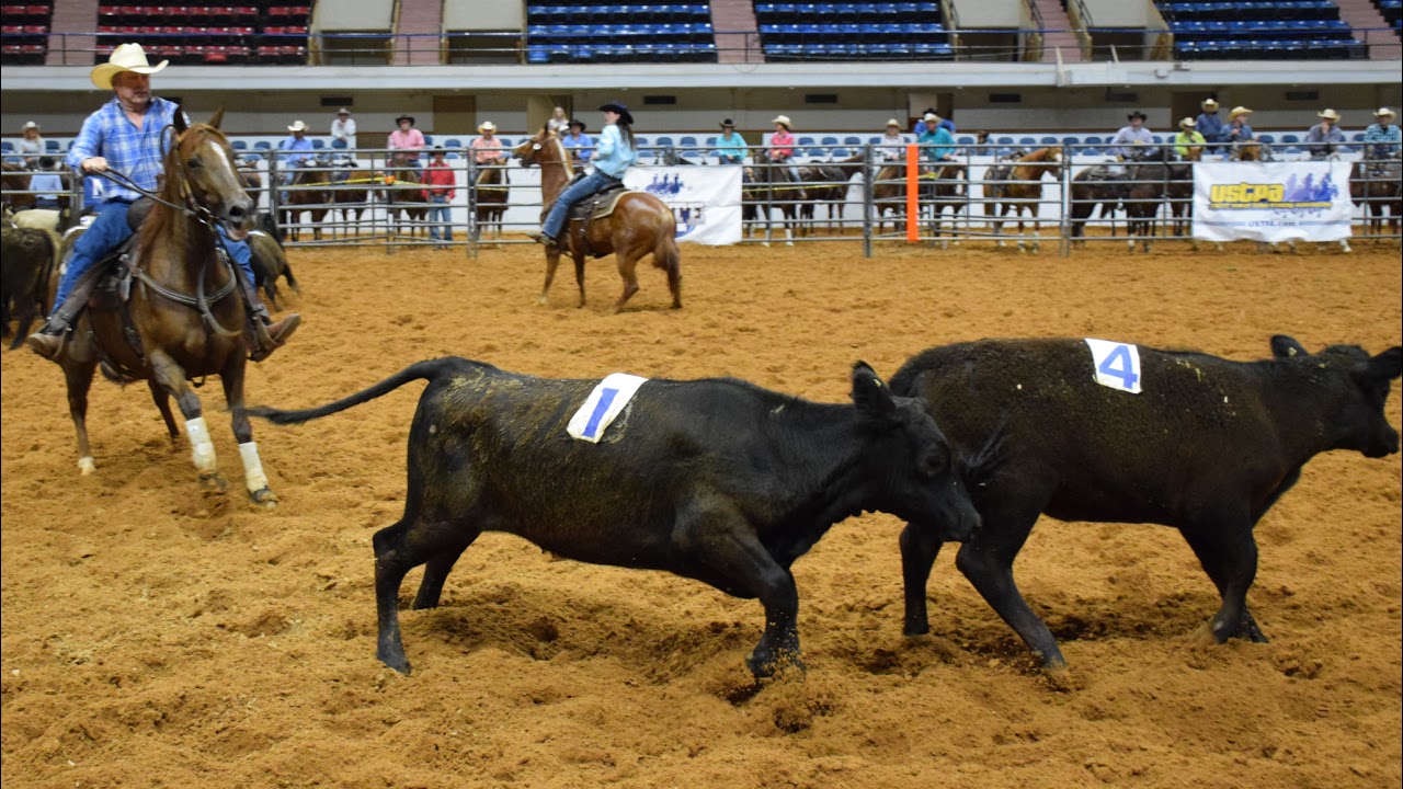 National Western Stock Show ~ Ride with the Bulls - Total Horse Channel ...