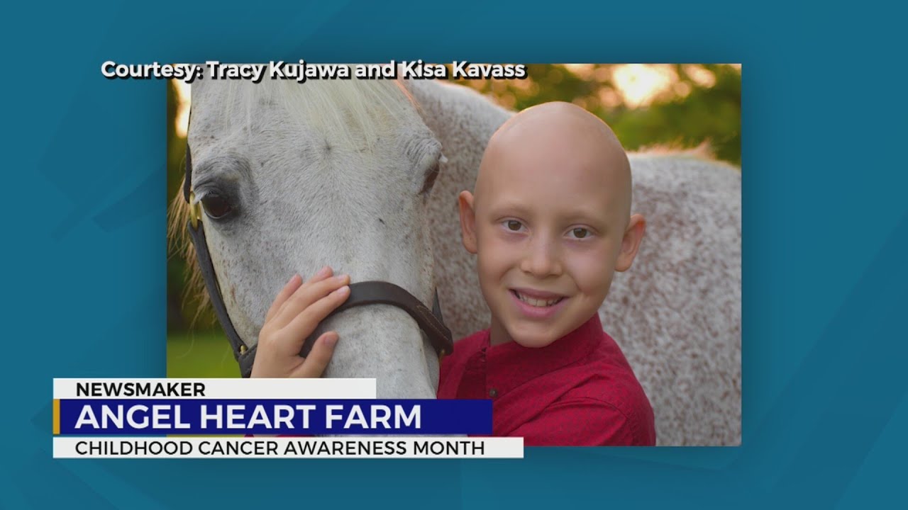 Newsmaker: Angel Heart Farm - Total Horse Channel | Equestrian TV