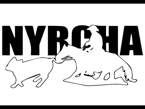 NYRCHA The Spring Derby (Saturday) - Total Horse Channel | Equestrian TV